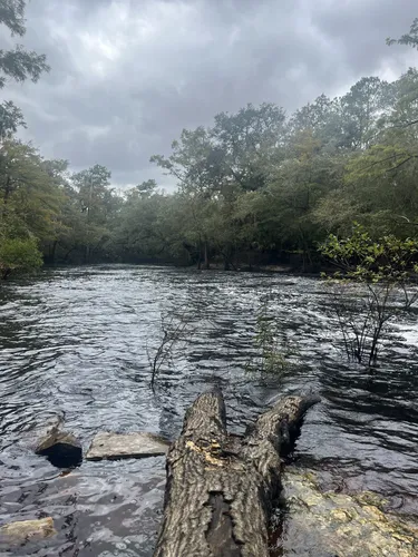 Best Hikes and Trails in Aucilla Wildlife Management Area | AllTrails