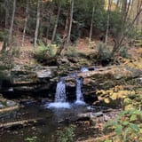 Seneca Creek Trail, West Virginia - 331 Reviews, Map | AllTrails