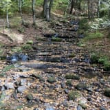 Seneca Creek Trail, West Virginia - 326 Reviews, Map | AllTrails