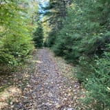 Seneca Creek Trail, West Virginia - 317 Reviews, Map | AllTrails