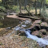 Seneca Creek Trail, West Virginia - 331 Reviews, Map | AllTrails