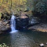 Seneca Creek Trail, West Virginia - 318 Reviews, Map | AllTrails