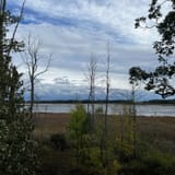 Tobico Marsh Trail, Michigan - 648 Reviews, Map | AllTrails