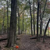 Tobico Marsh Trail, Michigan - 648 Reviews, Map | AllTrails