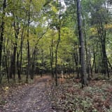 Tobico Marsh Trail, Michigan - 648 Reviews, Map | AllTrails