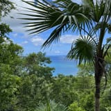 Magens Bay Beach Trail, Saint Thomas, US Virgin Islands - 349 Reviews ...