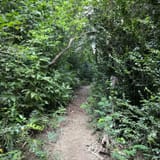 Magens Bay Beach Trail, Saint Thomas, US Virgin Islands - 349 Reviews ...