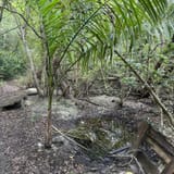 Magens Bay Beach Trail, Saint Thomas, US Virgin Islands - 349 Reviews ...