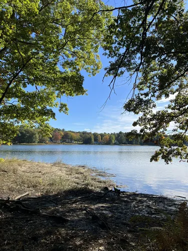 Best Hikes and Trails in Bellamy River Wildlife Mgt. Area | AllTrails