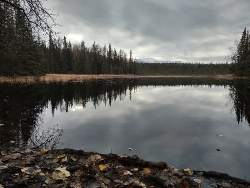 Abbott Loop Community Park: de beste routes om te wandelen | AllTrails