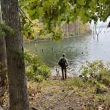 Council Bluff Lake Loop, Missouri - 262 Reviews, Map | AllTrails