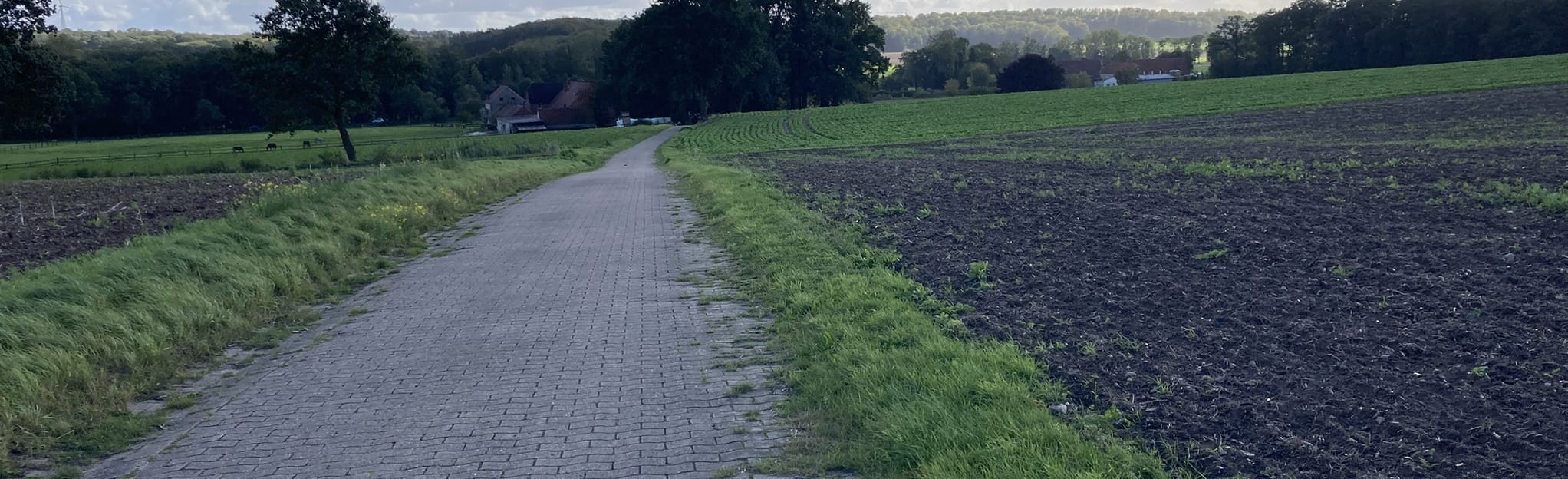 Schledehausen - Belm, Lower Saxony, Germany - 3 Reviews, Map | AllTrails