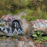 Edgecliff Loop, New York - 242 Reviews, Map | AllTrails