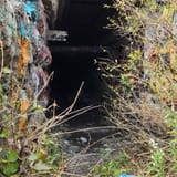 Edgecliff Loop, New York - 242 Reviews, Map | AllTrails