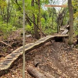 Edgecliff Loop, New York - 327 Reviews, Map | AllTrails