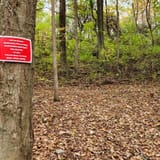 Edgecliff Loop, New York - 327 Reviews, Map | AllTrails