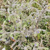 Edgecliff Loop, New York - 327 Reviews, Map | AllTrails