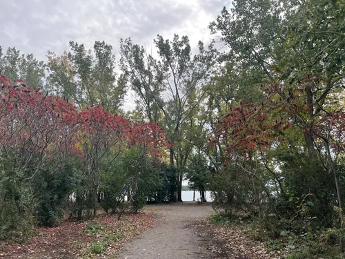 Best Hikes and Trails in Cherry Beach Park | AllTrails