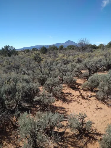 Best Hikes and Trails in Hawkins Preserve | AllTrails