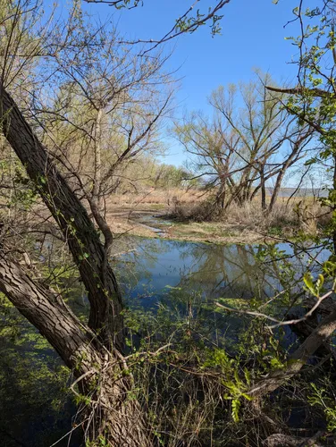 Best Hikes and Trails in Cheney State Park | AllTrails