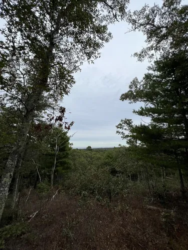 Best Hikes and Trails in Maple Swamp Conservation Area | AllTrails