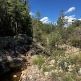 Christopher Creek, Arizona - 94 Reviews, Map | AllTrails