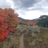 Ghost Falls via Lower Corner Canyon Trail, Utah - 792 Reviews, Map ...