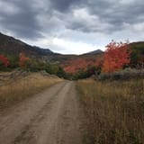 Ghost Falls via Lower Corner Canyon Trail, Utah - 792 Reviews, Map ...