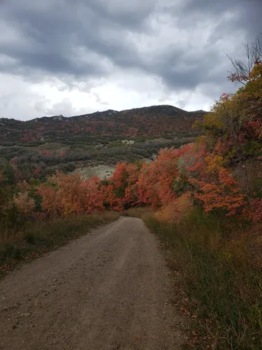 10 Best Hikes and Trails in Corner Canyon Regional Park | AllTrails
