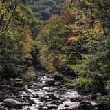 South Toe River Loop Trail, North Carolina - 431 Reviews, Map | AllTrails