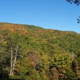 South Toe River Loop Trail, North Carolina - 431 Reviews, Map | AllTrails