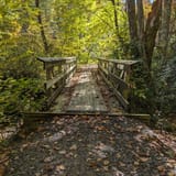 South Toe River Loop Trail, North Carolina - 431 Reviews, Map | AllTrails