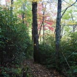 South Toe River Loop Trail, North Carolina - 431 Reviews, Map | AllTrails