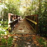 South Toe River Loop Trail, North Carolina - 431 Reviews, Map | AllTrails