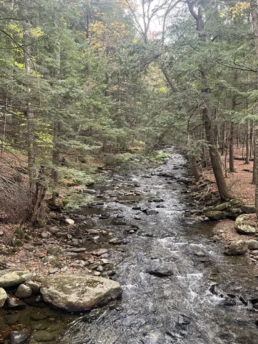 Best Hikes and Trails in Chase Brook Town Forest. | AllTrails
