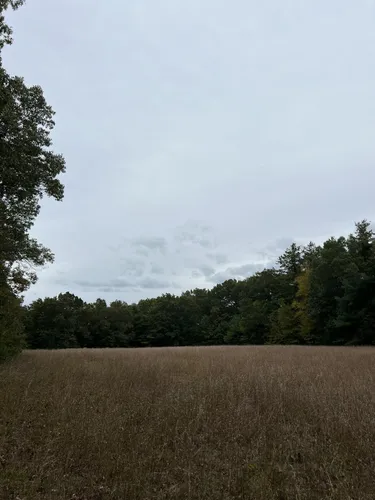 Best Hikes and Trails in Atkinson Forest Lands and Greens Area | AllTrails