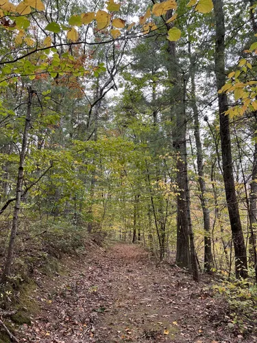 Best Hikes and Trails in Atkinson Forest Lands and Greens Area | AllTrails