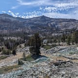 Tamarack Lake, California - 835 Reviews, Map | AllTrails