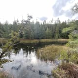 Cyprus Lake Trail, Ontario, Canada - 314 Reviews, Map | AllTrails
