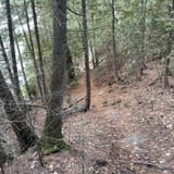 Cyprus Lake Trail, Ontario, Canada - 314 Reviews, Map | AllTrails