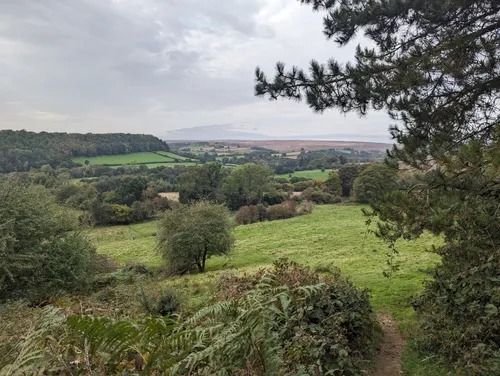 Best River Trails in Appleton-le-Moors | AllTrails