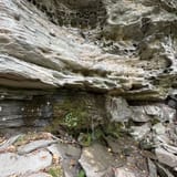 Tanbark Loop, New York - 574 Reviews, Map | AllTrails