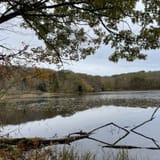 Berry Pond Trail, Massachusetts - 70 Reviews, Map | AllTrails