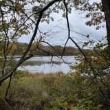 Berry Pond Trail, Massachusetts - 70 Reviews, Map | AllTrails