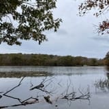 Berry Pond Trail, Massachusetts - 70 Reviews, Map | AllTrails