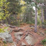 Cove Point Loop to Superior Hiking Trail Loop, Minnesota - 126 Reviews ...