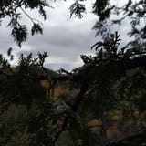 Cove Point Loop to Superior Hiking Trail Loop, Minnesota - 126 Reviews ...