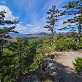 Boulder Loop Trail, New Hampshire - 1,896 Reviews, Map | AllTrails