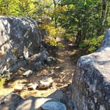 Boulder Loop Trail, New Hampshire - 1,896 Reviews, Map | AllTrails