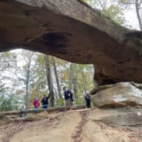 Princess Arch Trail [CLOSED], Kentucky - 1,135 Reviews, Map | AllTrails